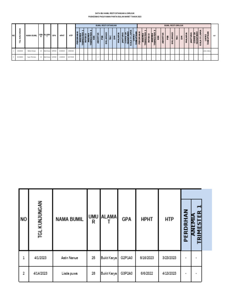 Bumil Resti LB3 BK | PDF