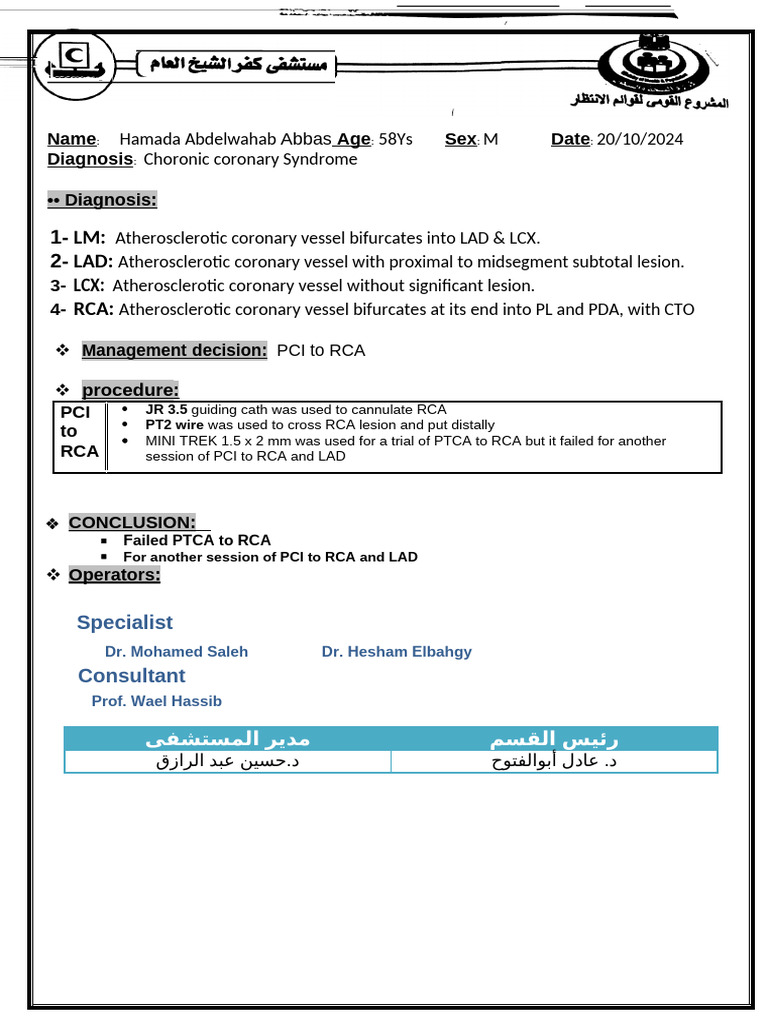 Hamada Abdelwahab | PDF