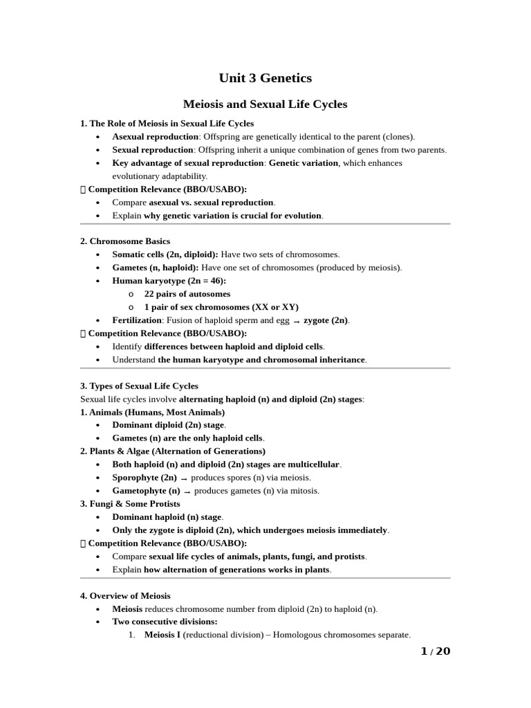 Genetics: Meiosis and Inheritance Explained | PDF | Operon | Meiosis