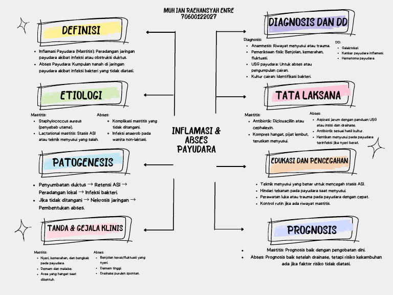 70600122027_Muh Ian Raehansyah Enre_Mind mapping inflamasi dan abses ...