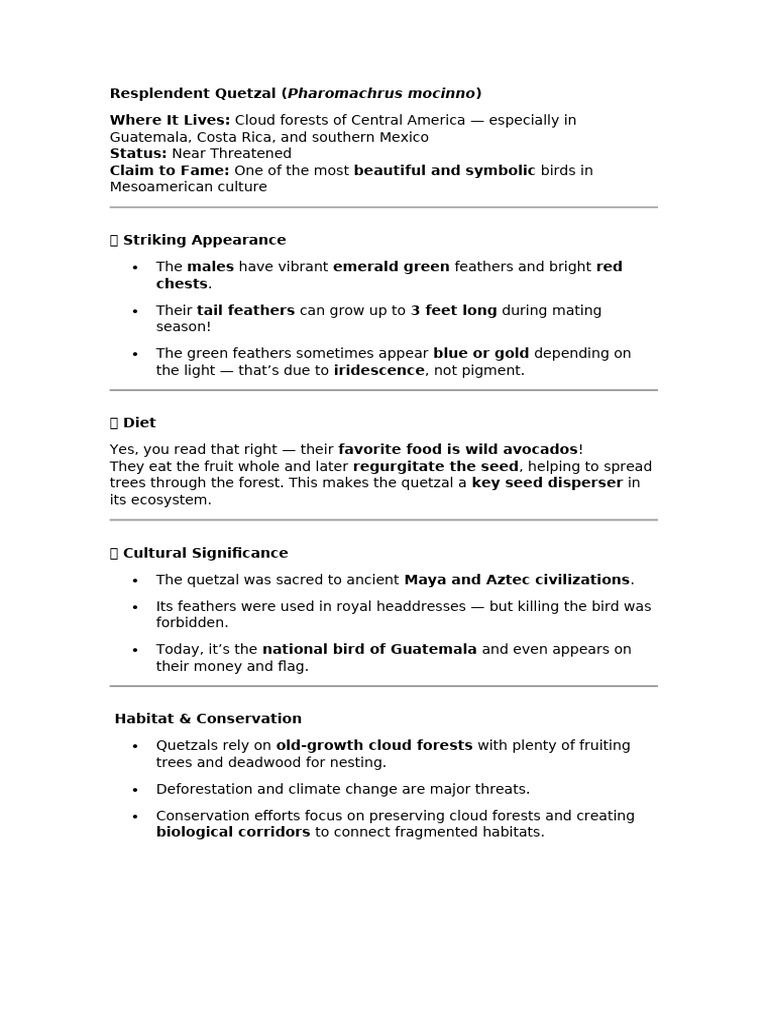 Resplendent Quetzal: Habitat and Facts | PDF