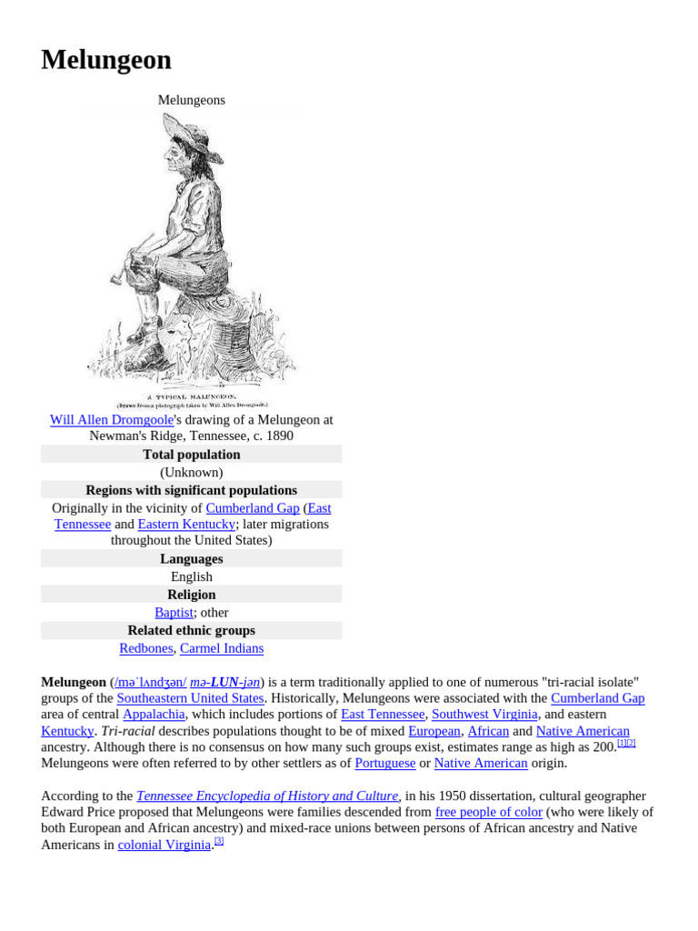 Understanding Melungeon Identity | PDF | Ethnicity