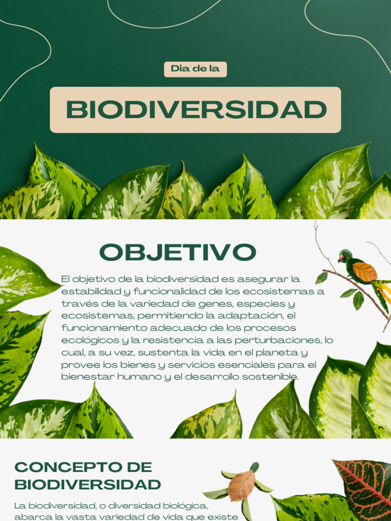 Presentación Biodiversidad y Medioambiente Moderno Orgánico Verde y Beis | PDF | Biodiversidad ...