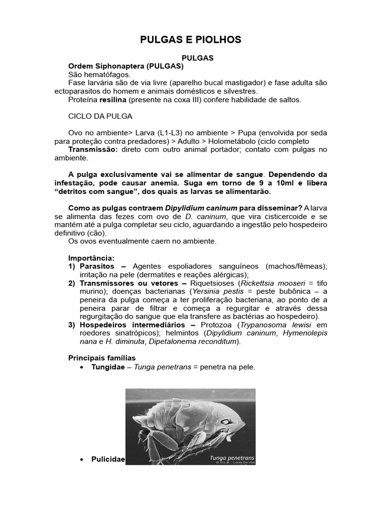 Transcrição Pulgas e Piolhos Parasito II p2 | PDF
