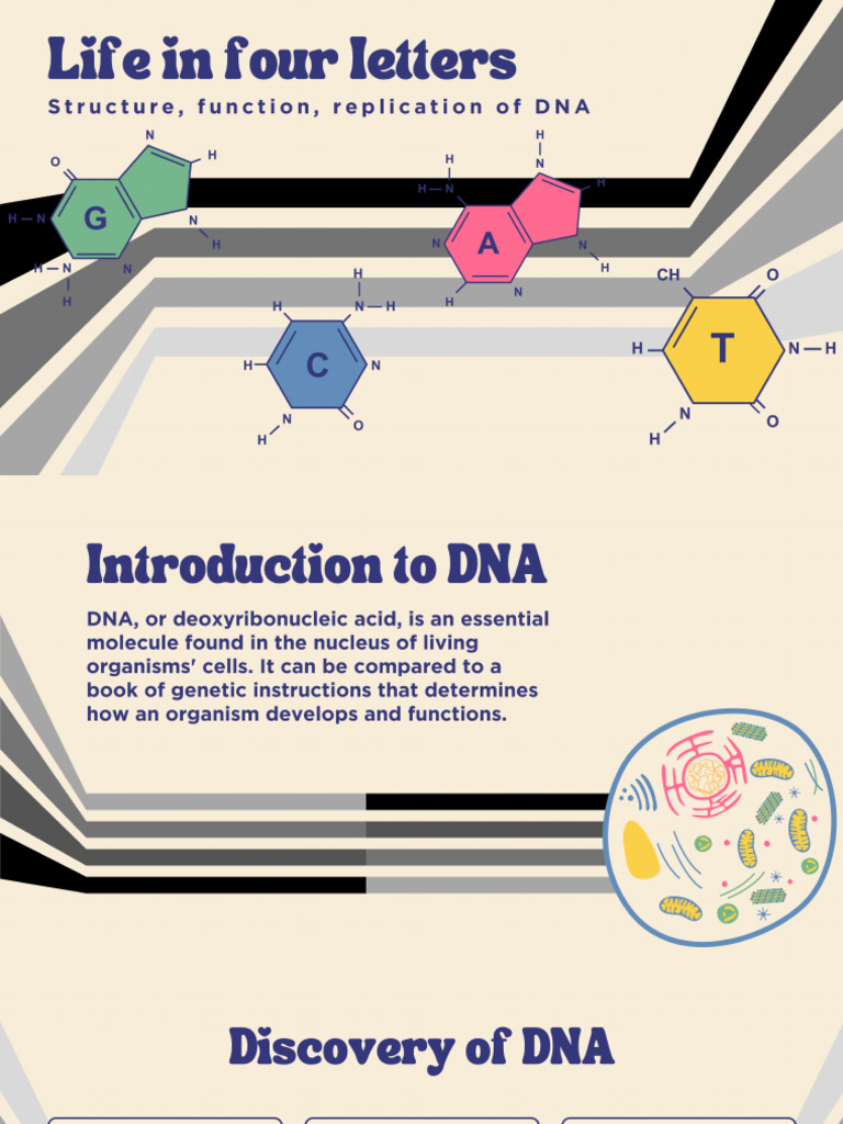 Structure and Function of DNA | PDF