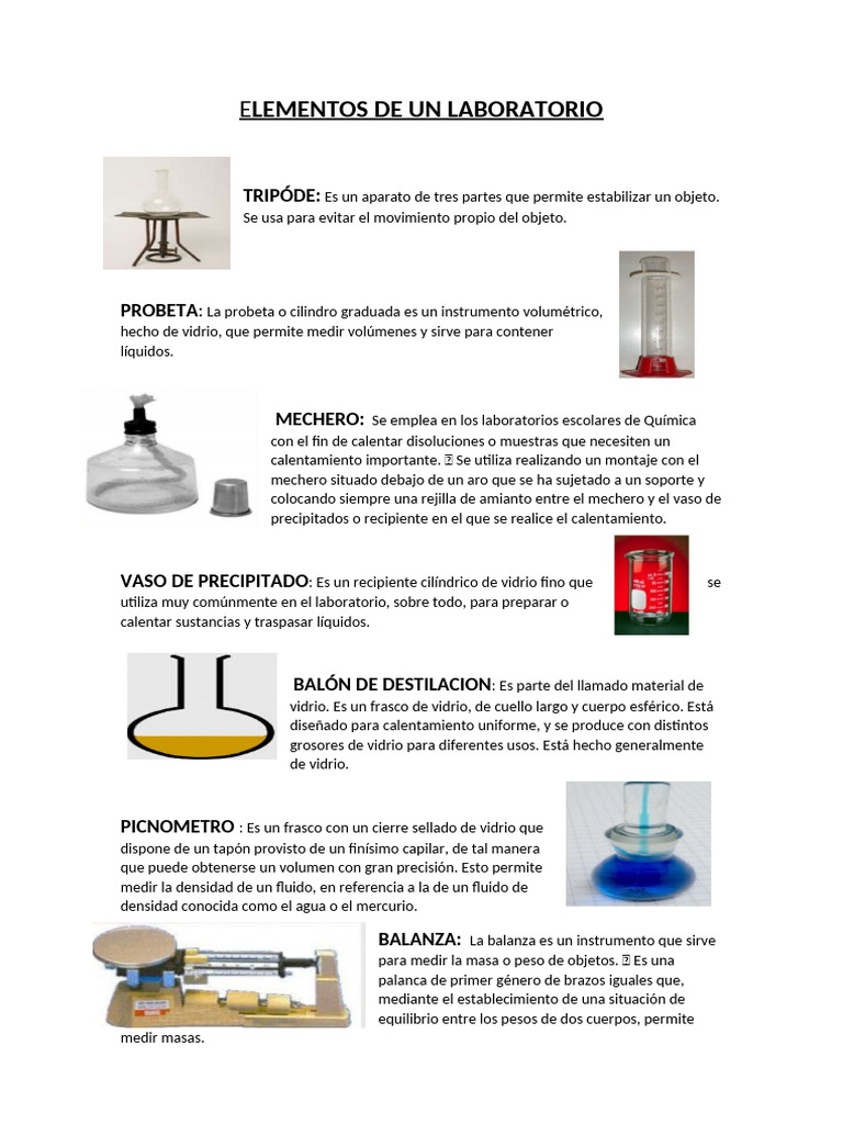 Elementos Esenciales de un Laboratorio | PDF