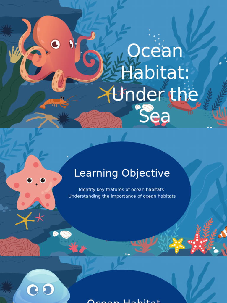 Colorful Fun Understanding the Ocean Habitat Presentation_20250210 ...