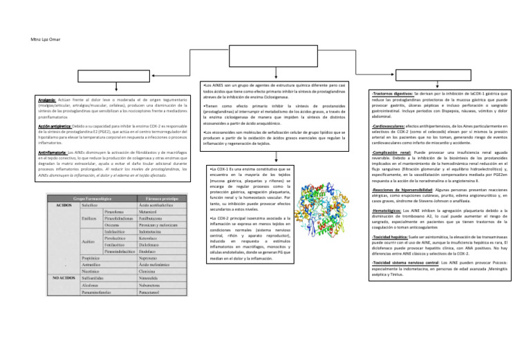 AINEs Mtnz Lpz Omar | PDF | Prostaglandina | Droga anti-inflamatoria ...