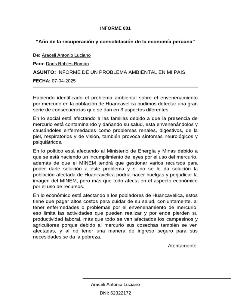 Informe 001 Cc.ss | PDF
