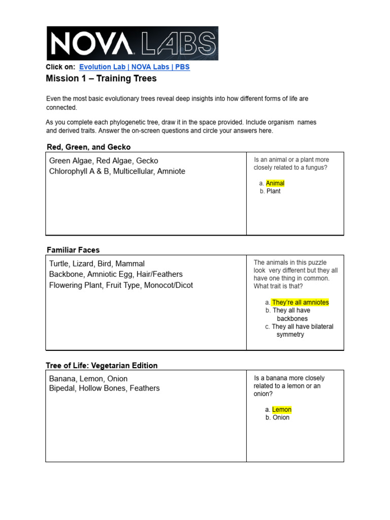 AP - NOVA Labs Phylogenetic Trees | PDF | Homo | Zoology