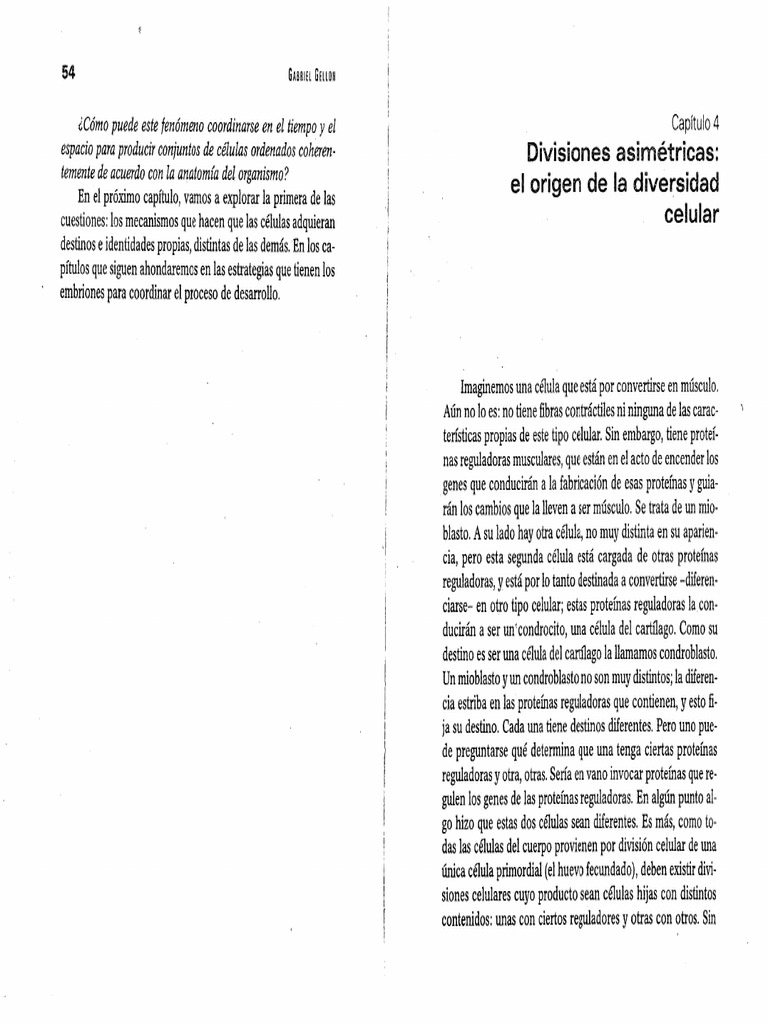 12. Gellon, cap. 4,5,6 y 7. Drosophila.pdf_rotated | PDF