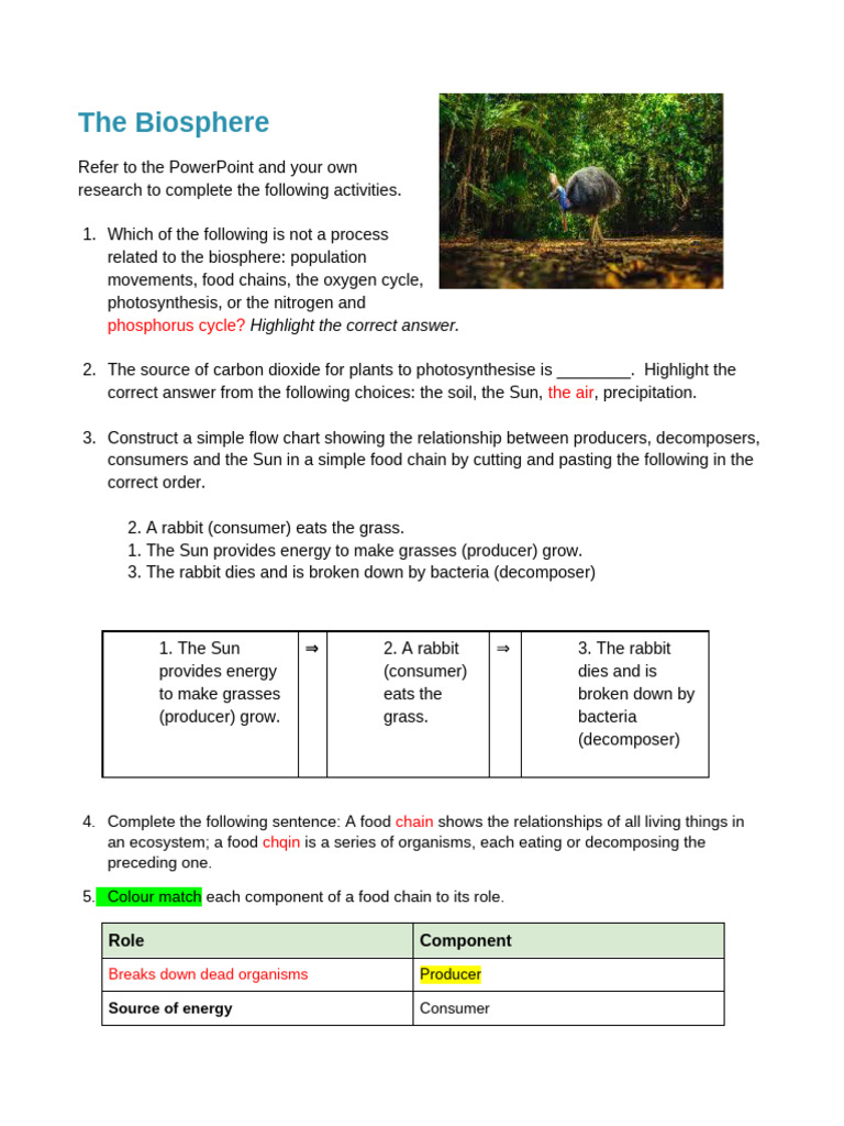 3.3 The Biosphere WORKSHEET | PDF | Desert | Foods