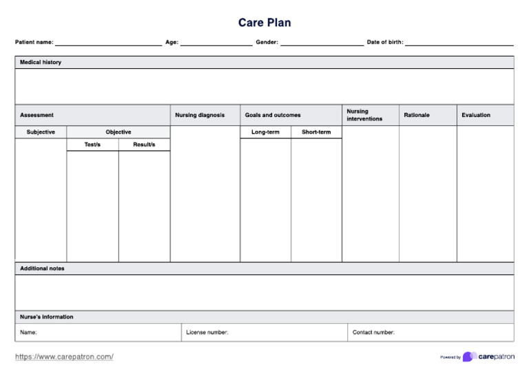 Community Health Nursing Care Plan Template | PDF