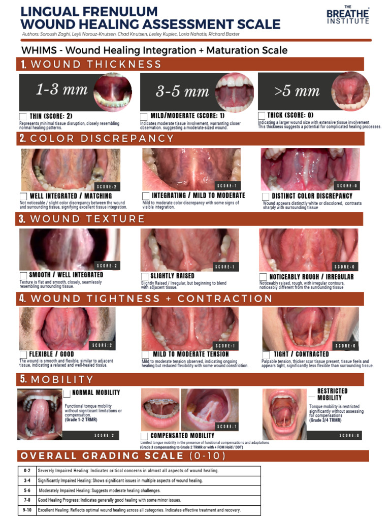 Wound Healing Assessment Guide | PDF | Wound | Wound Healing