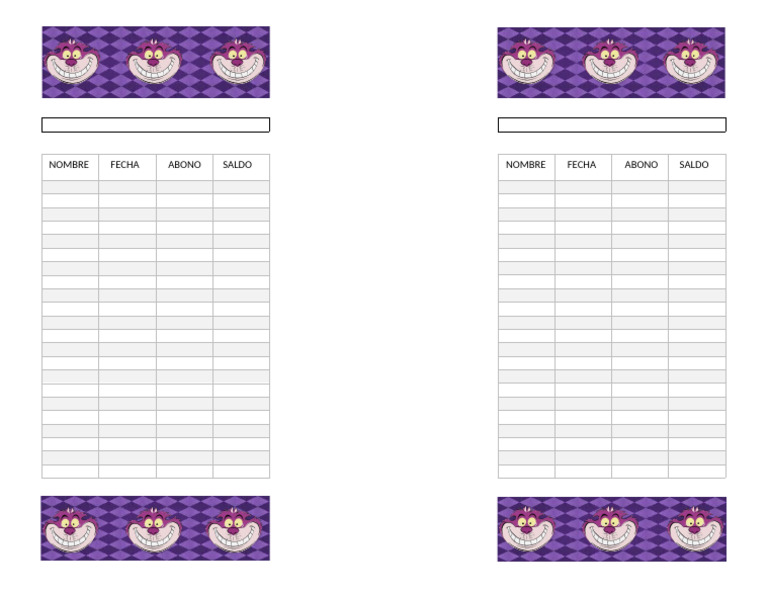 ORGANIZADOR GATO RISON | PDF