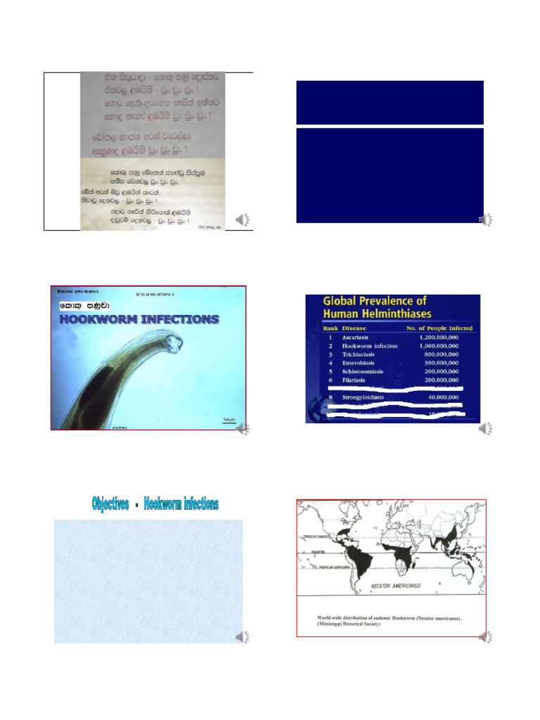 Understanding Hookworm Infections | PDF | Anemia | Diseases And Disorders