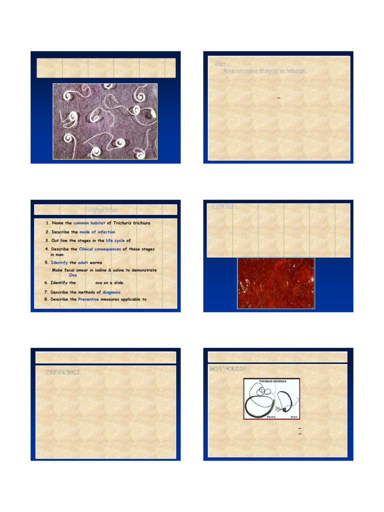 P3 Trichuris Trichiura - Student's Copy-1 | PDF | Medical Specialties ...