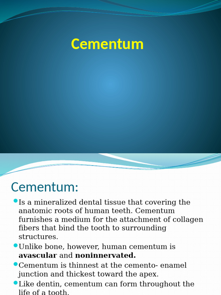 Cementum | PDF | Human Tooth | Dental Anatomy