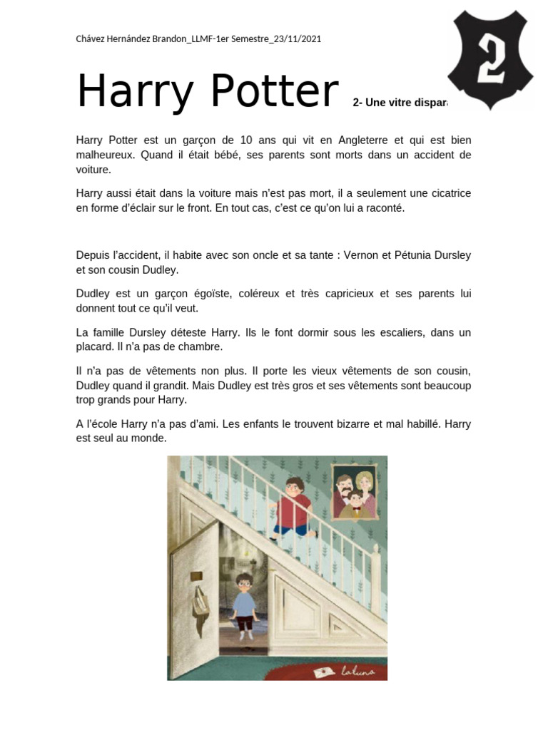 Projet Final Harry Potter | PDF | Narración | Novelas