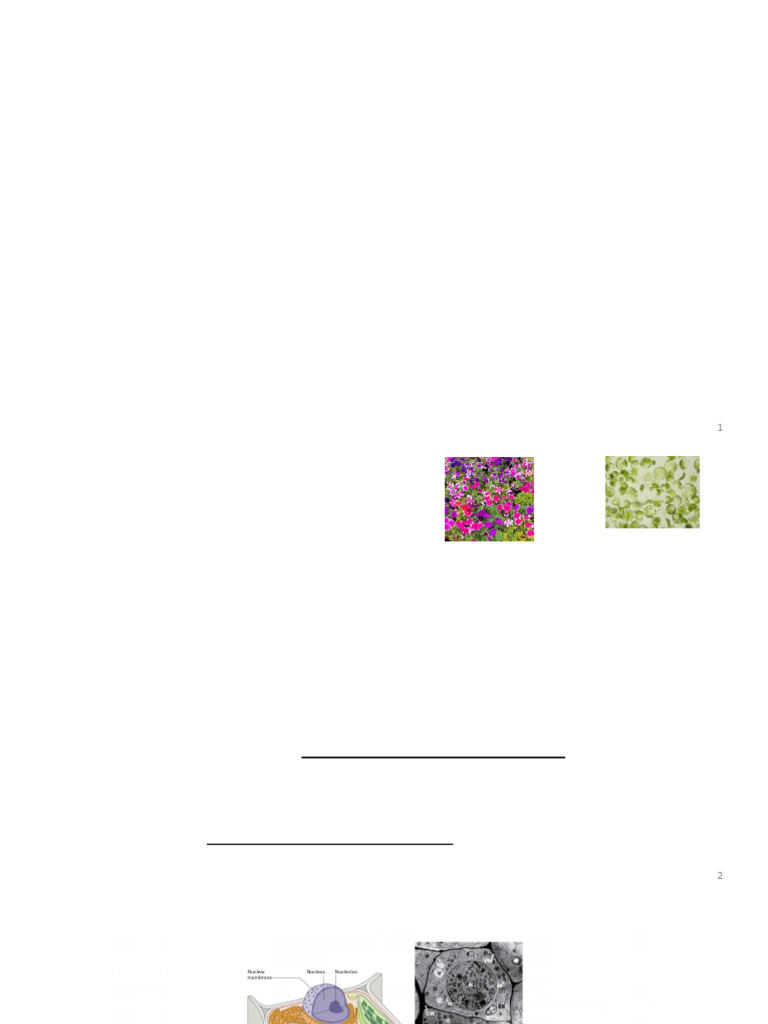 PTCC Lecture #9 &10 (MKM 10.02.2025) | PDF | Staining | Agar