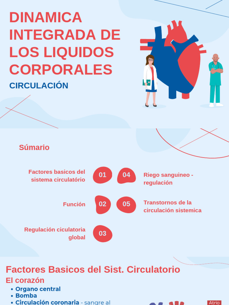 Dinamica Integrada de Los Liquidos Corporales | PDF | Sistema ...
