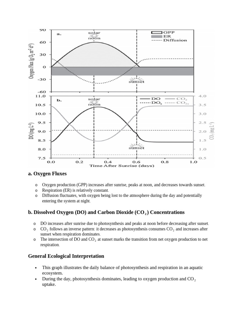 role of photosynthesis to balance CO2 and O2 | PDF
