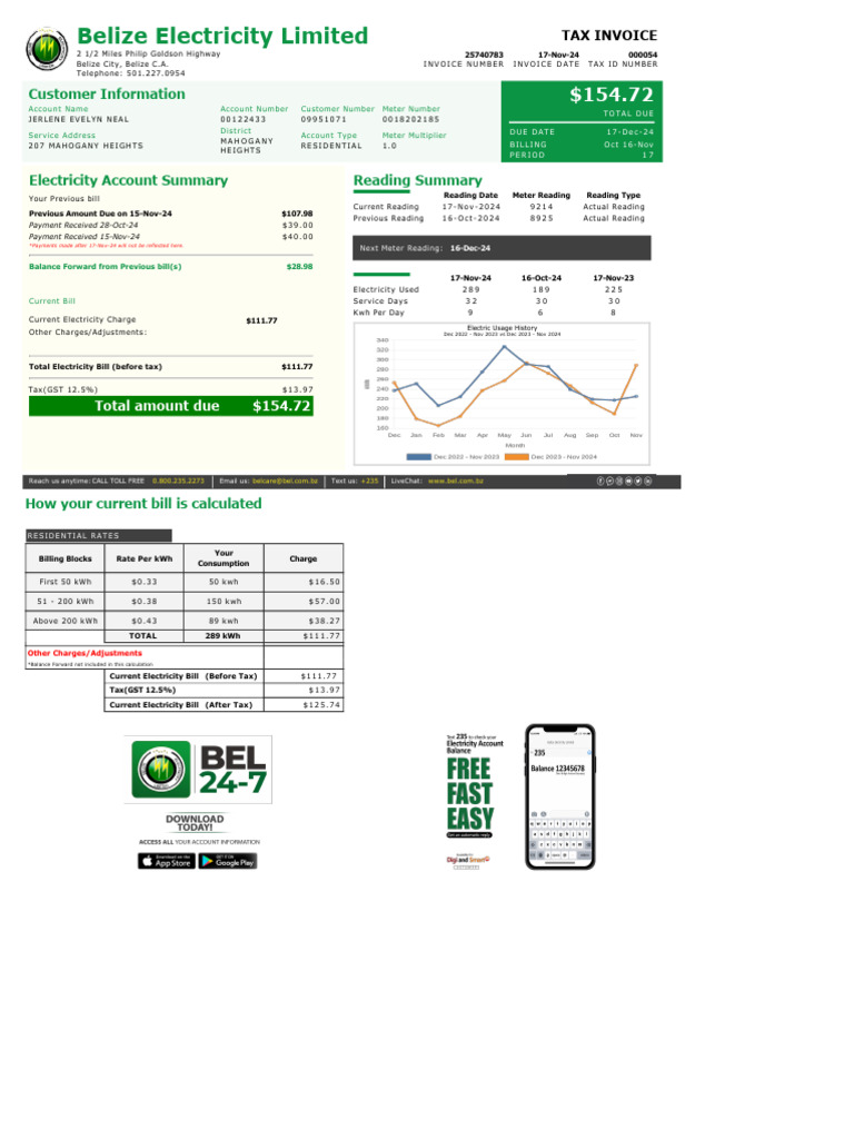 Belize Electricity Limited: Customer Information | PDF | Invoice ...