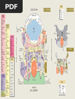 Okada Manila Guest Map | PDF