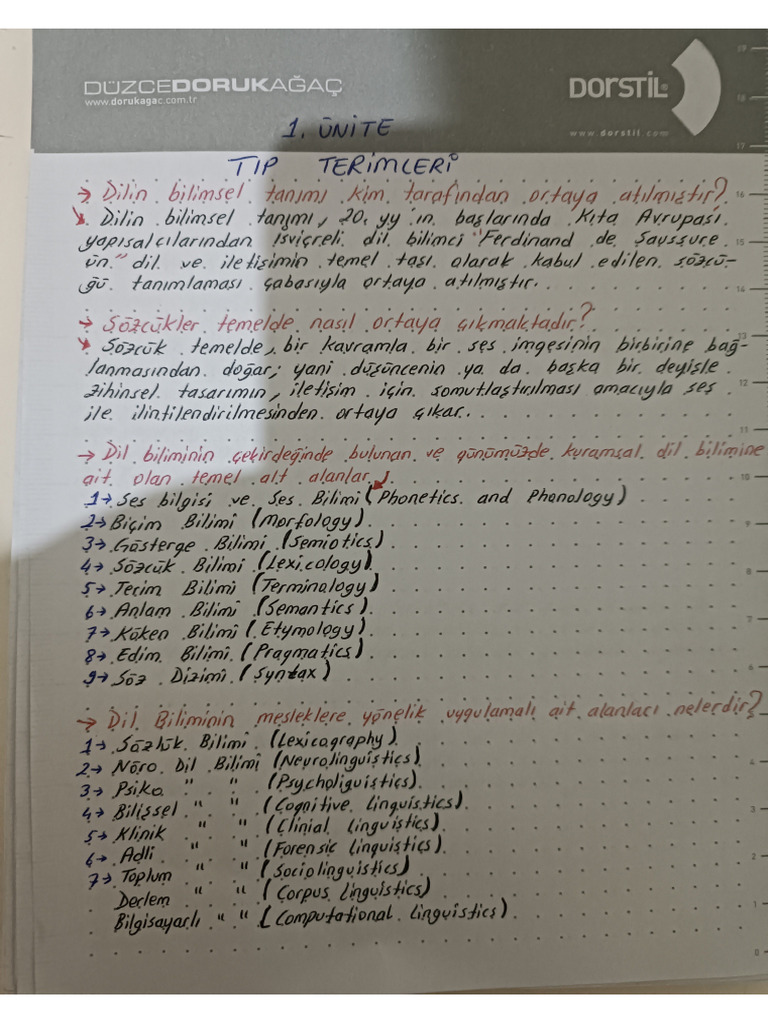 Tıp Terimleri Notlar | PDF