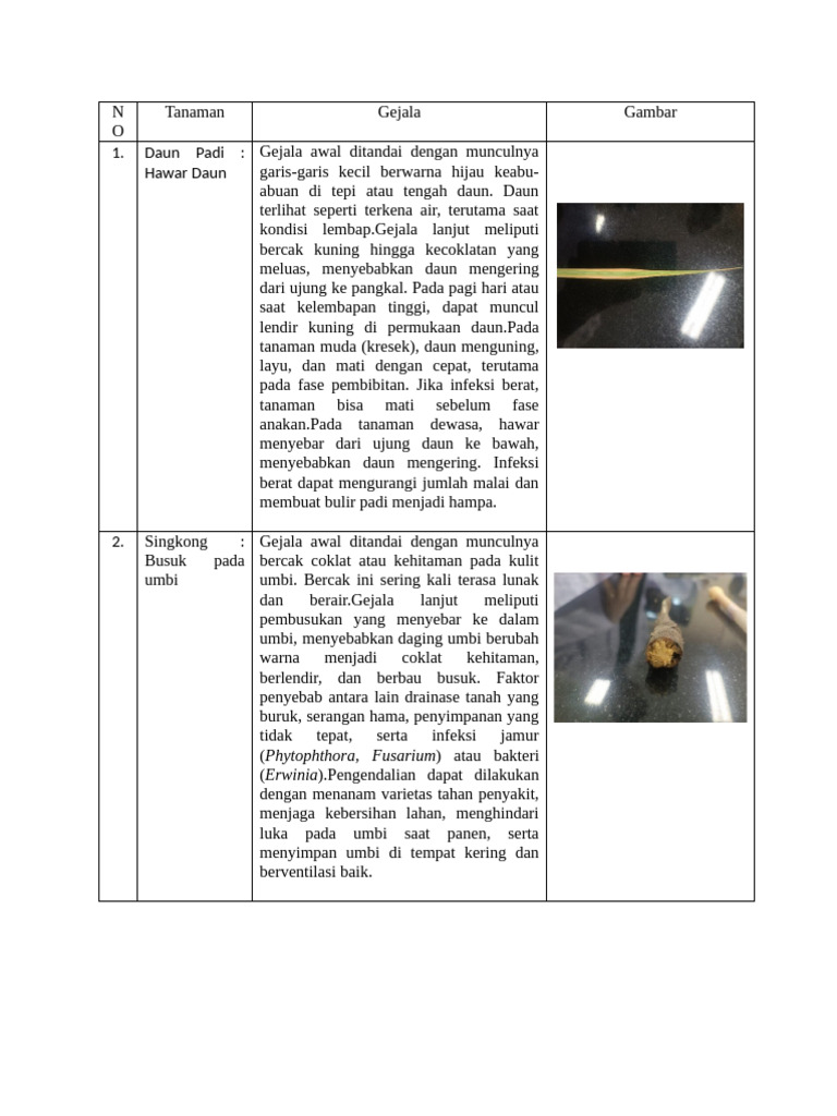 Isolasi Bakteri | PDF