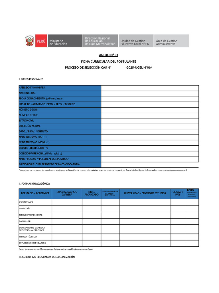 ANEXO #01 FICHA CURRICULAR k6ddkvw3 (1 bsf5lvns | PDF