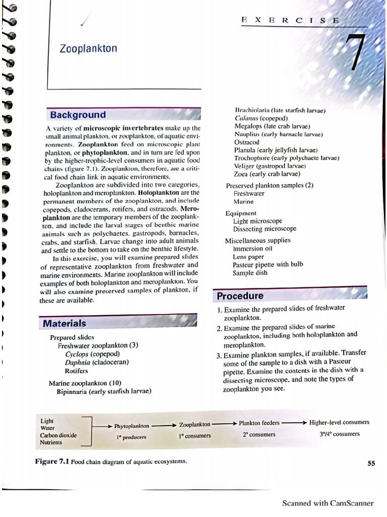 Karim CS (2)-1 | PDF