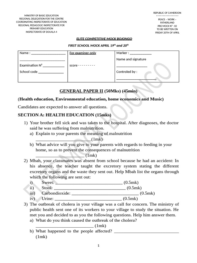 MOCK FIRST SCHOOL LEAVING CERTIFICATE EXAMINATION 2019 purity | PDF | Input/Output | Computer ...