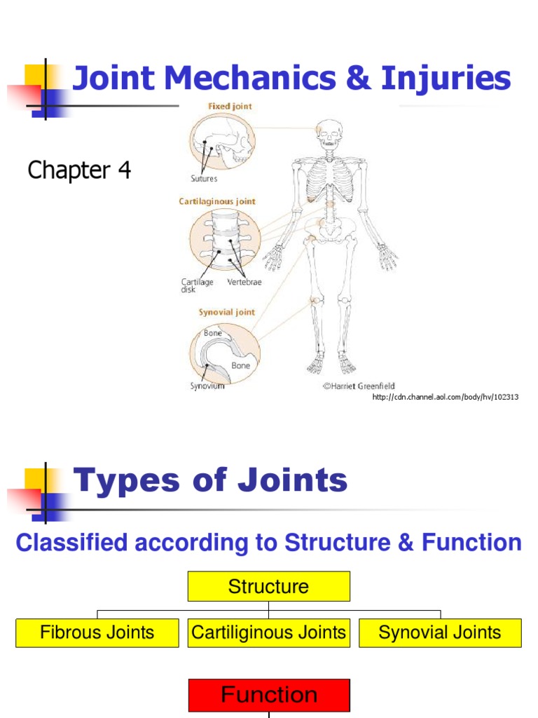 Joint Mechanics & Injuries | PDF