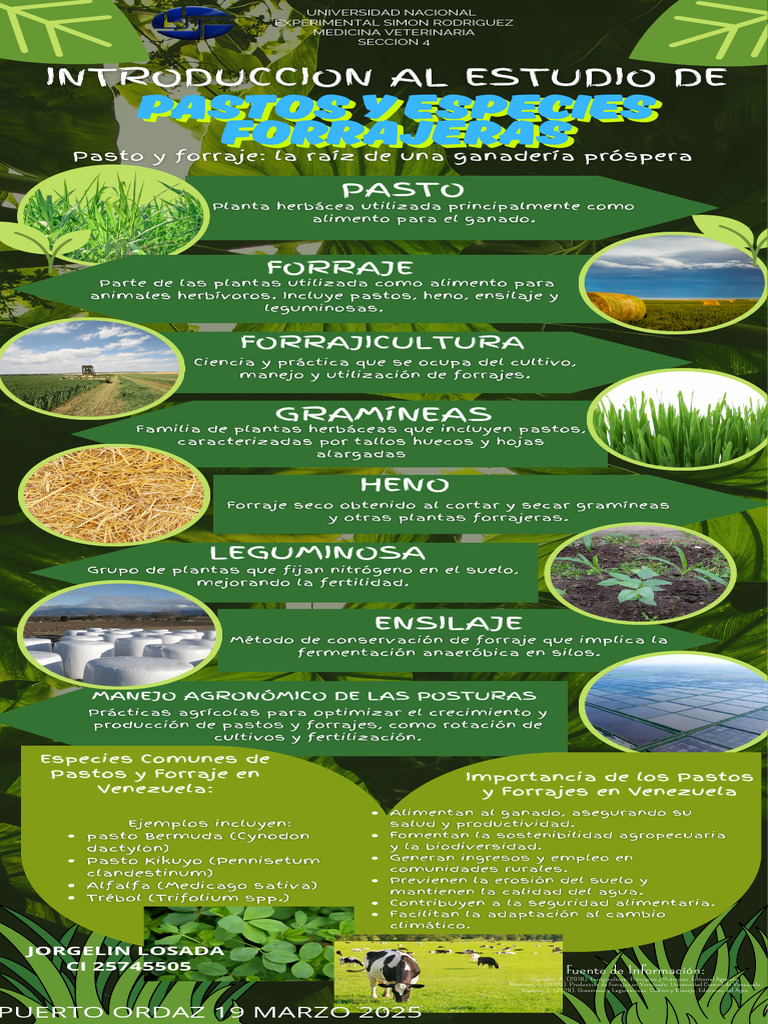 Infografía PASTOS Y FORRAJE | PDF