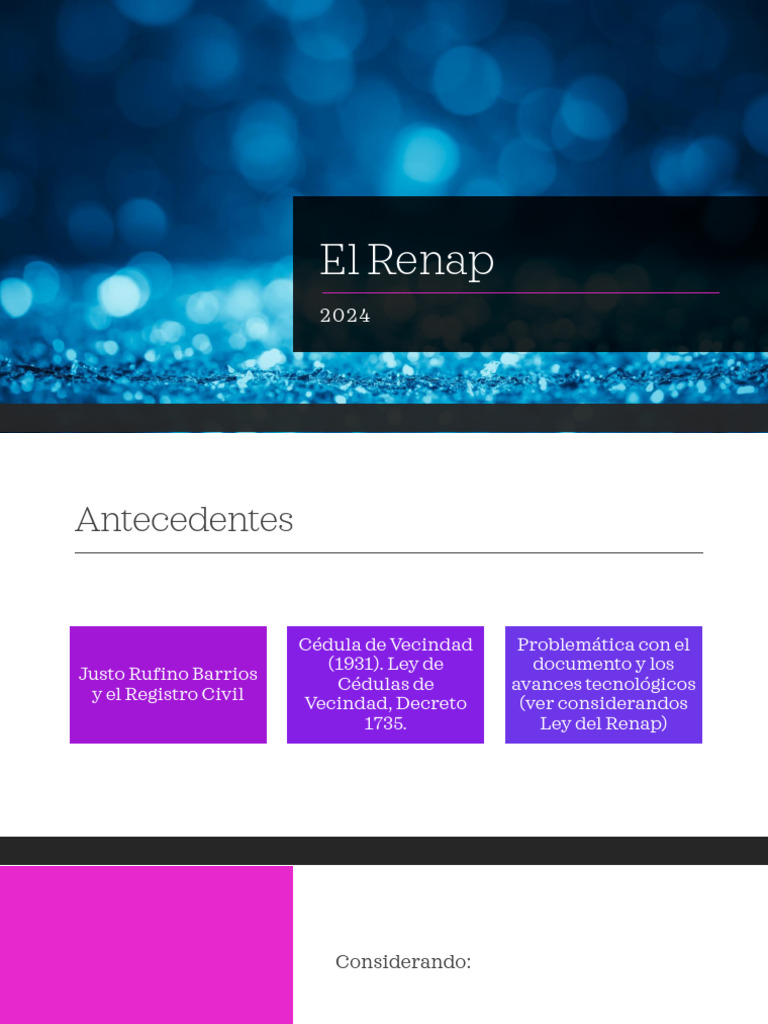 El Renap. 2024 | PDF