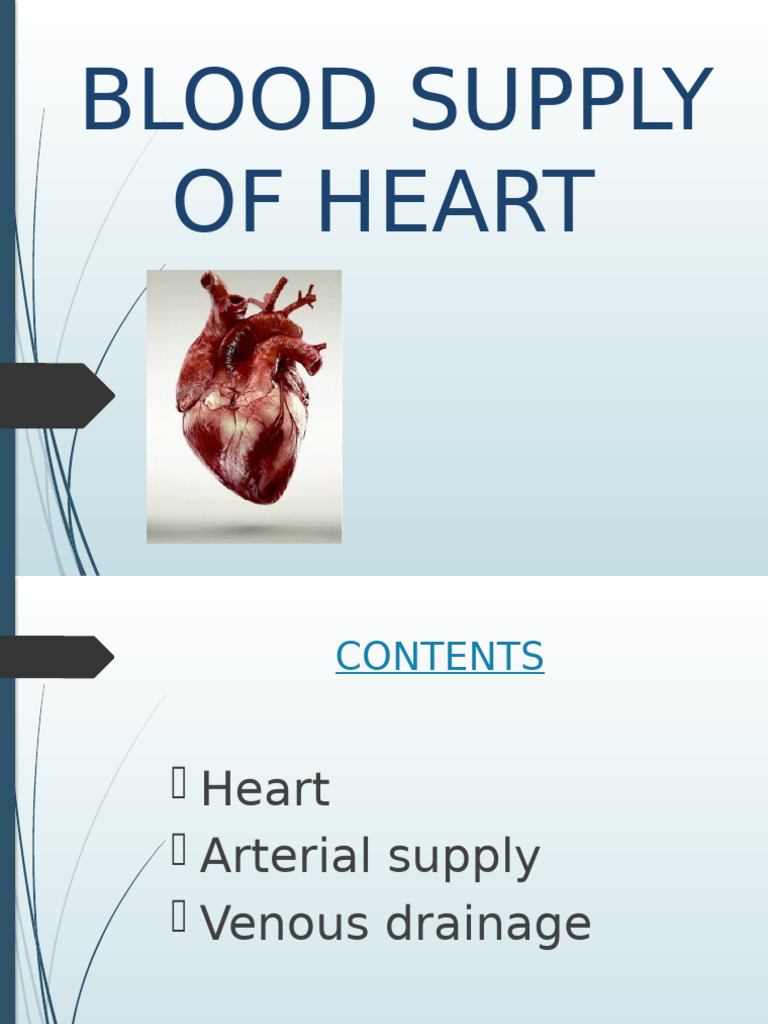 Heart Blood Supply and Drainage Overview | PDF | Coronary Circulation ...