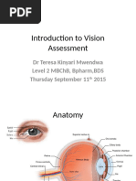 Interpretasi Vision-Test Jaeger | PDF | Visual Impairment | Visual Acuity