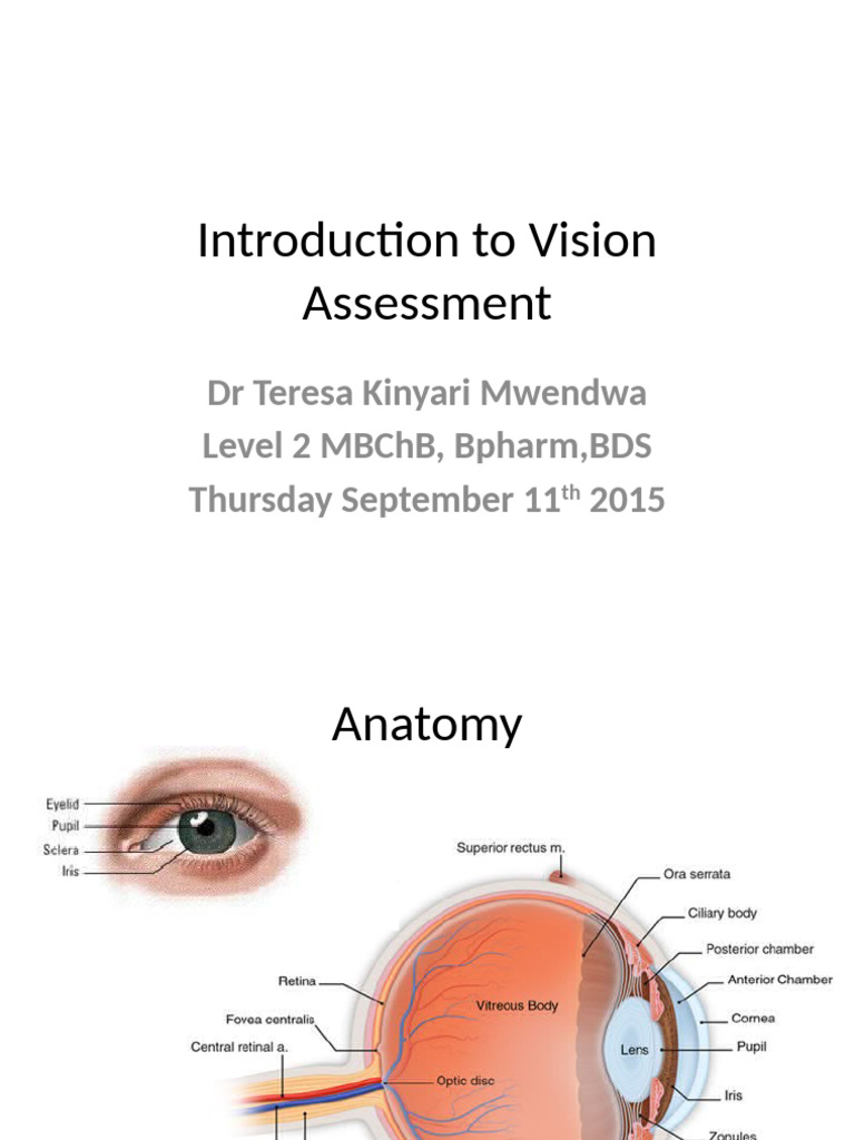 Vision Assessment Techniques Overview | PDF | Visual Acuity | Ophthalmology