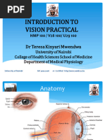 Vision Conversion Chart v2 0 | PDF | Eye | Face