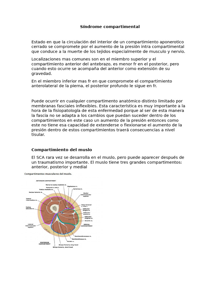 Síndrome Compartimental: Diagnóstico y Manejo | PDF | Enfermedades y ...
