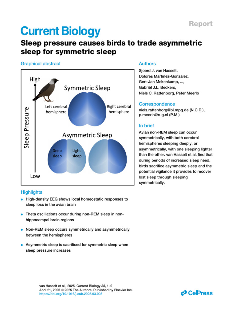 Sleep Pressure Causes Birds To Trade Asymmetric Sleep For Symmetric ...