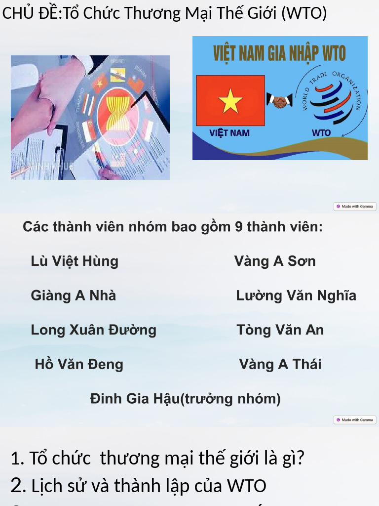 To Chuc Thuong Mai The Gioi WTO | PDF