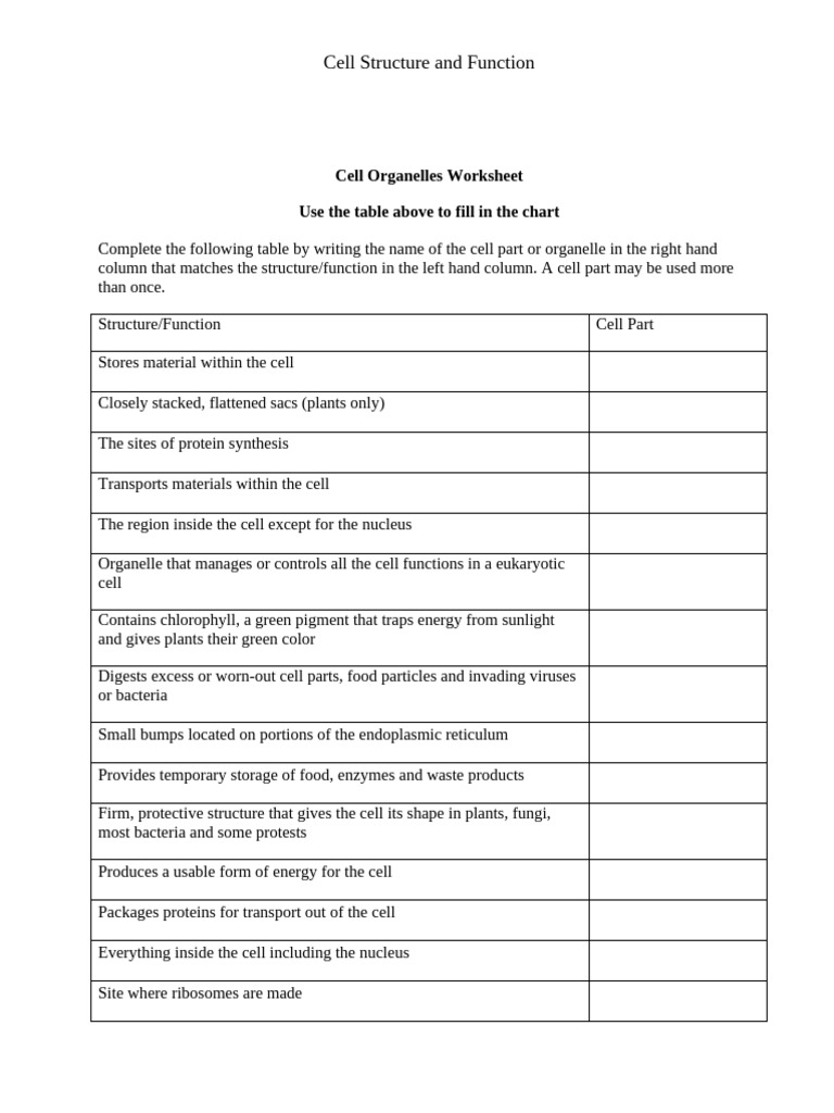 Cell Organelles Worksheet | PDF | Cell (Biology) | Organelle