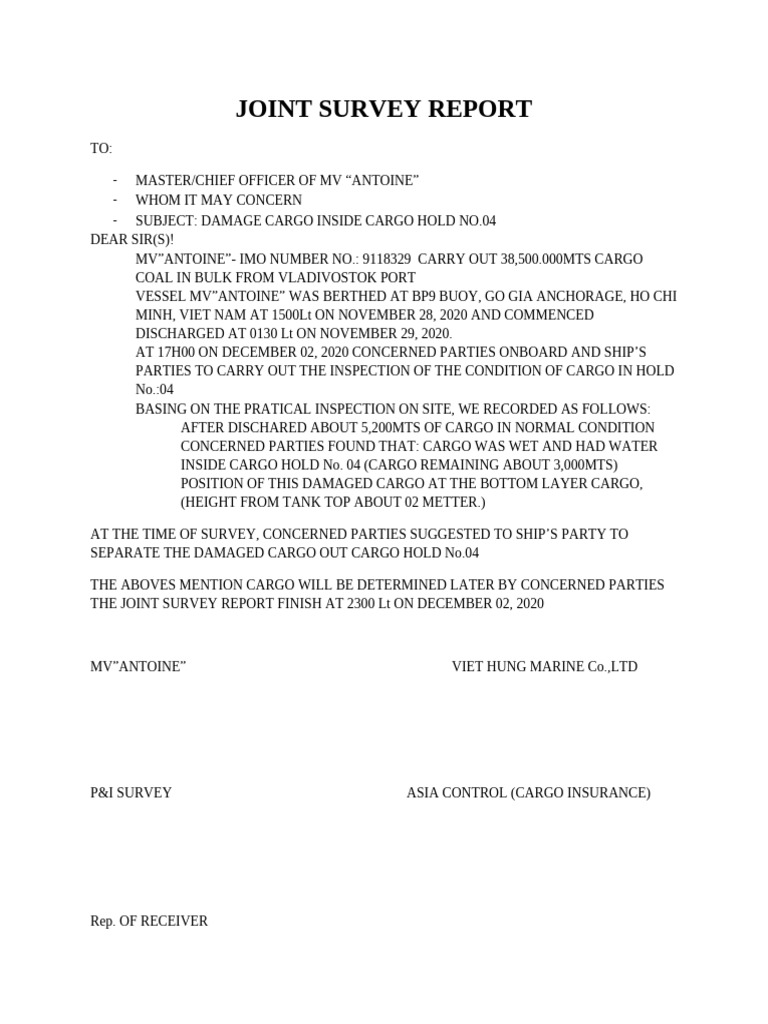 JOINT SURVEY REPORT - ANTOINE | PDF