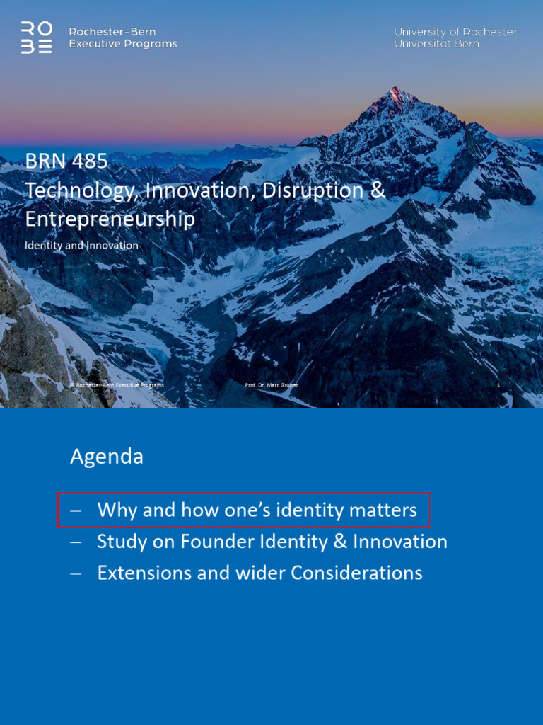 Founder Identity and Innovation Insights | PDF | Identity (Social ...