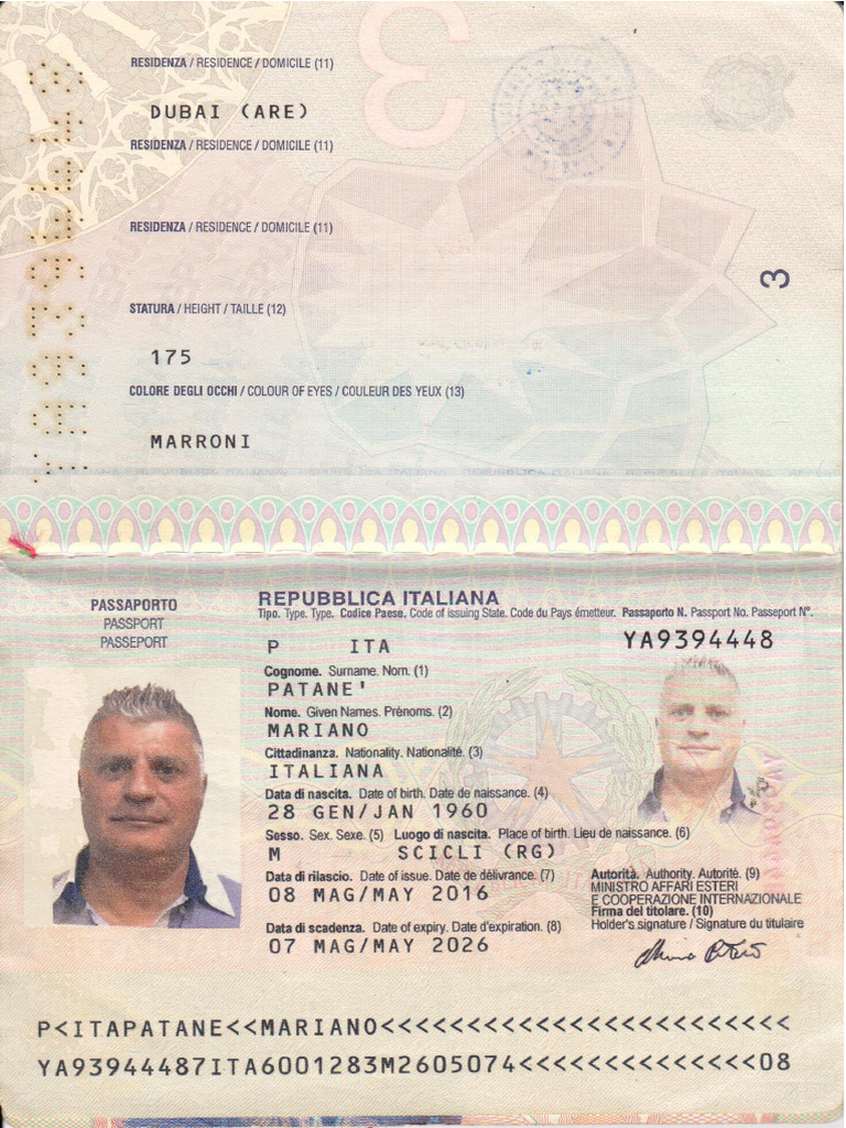 Mariano Patane - Passport | PDF