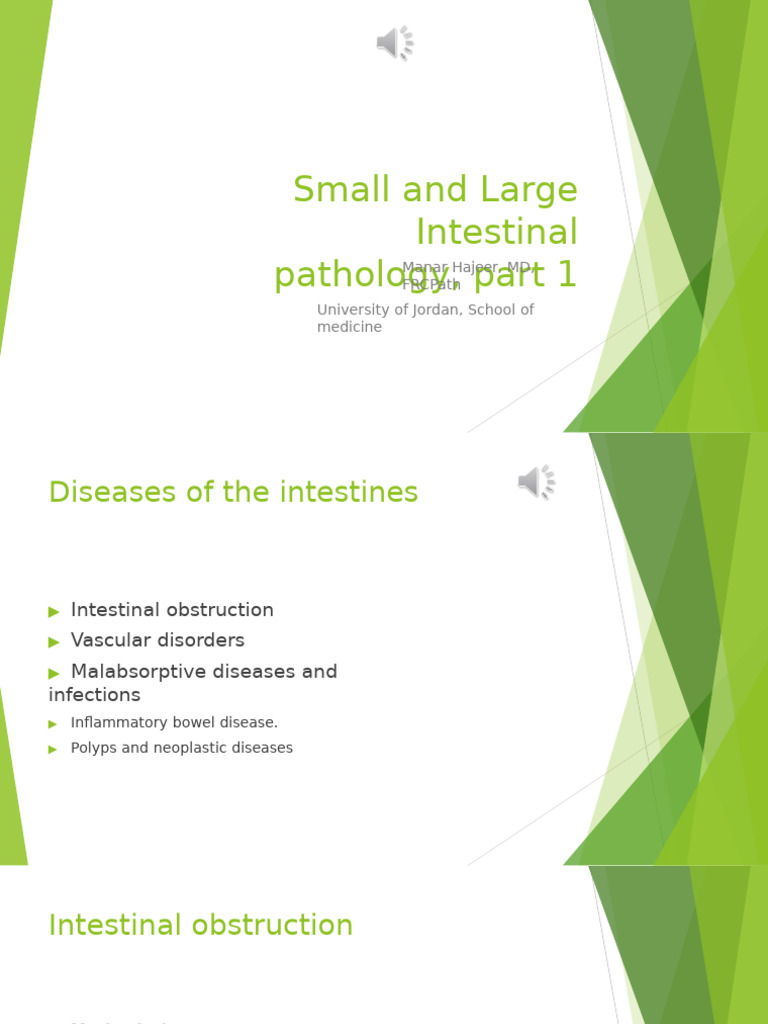 Meckel's Diverticulum in Intestinal Obstruction | PDF | Coeliac Disease ...