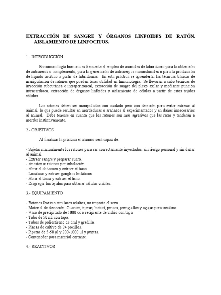 Ratón Disección | PDF | Bazo | Sistema linfático