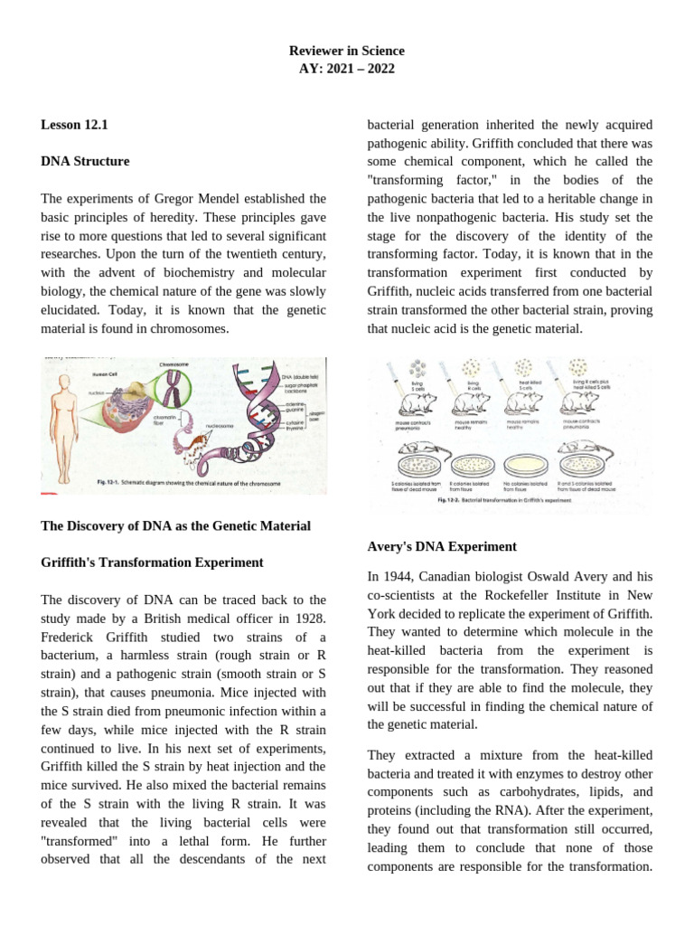 Reviewer in Science (Periodic Ver.) | PDF | Dna | Translation (Biology)